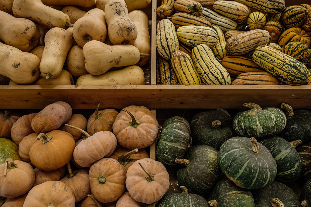 17 Recipes to Use Squash this Autumn - Little Mountain Garden Centre